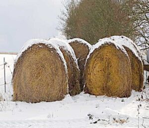 How Many Bales of Hay Per Acre: Optimizing Yield and Harvest - The ...