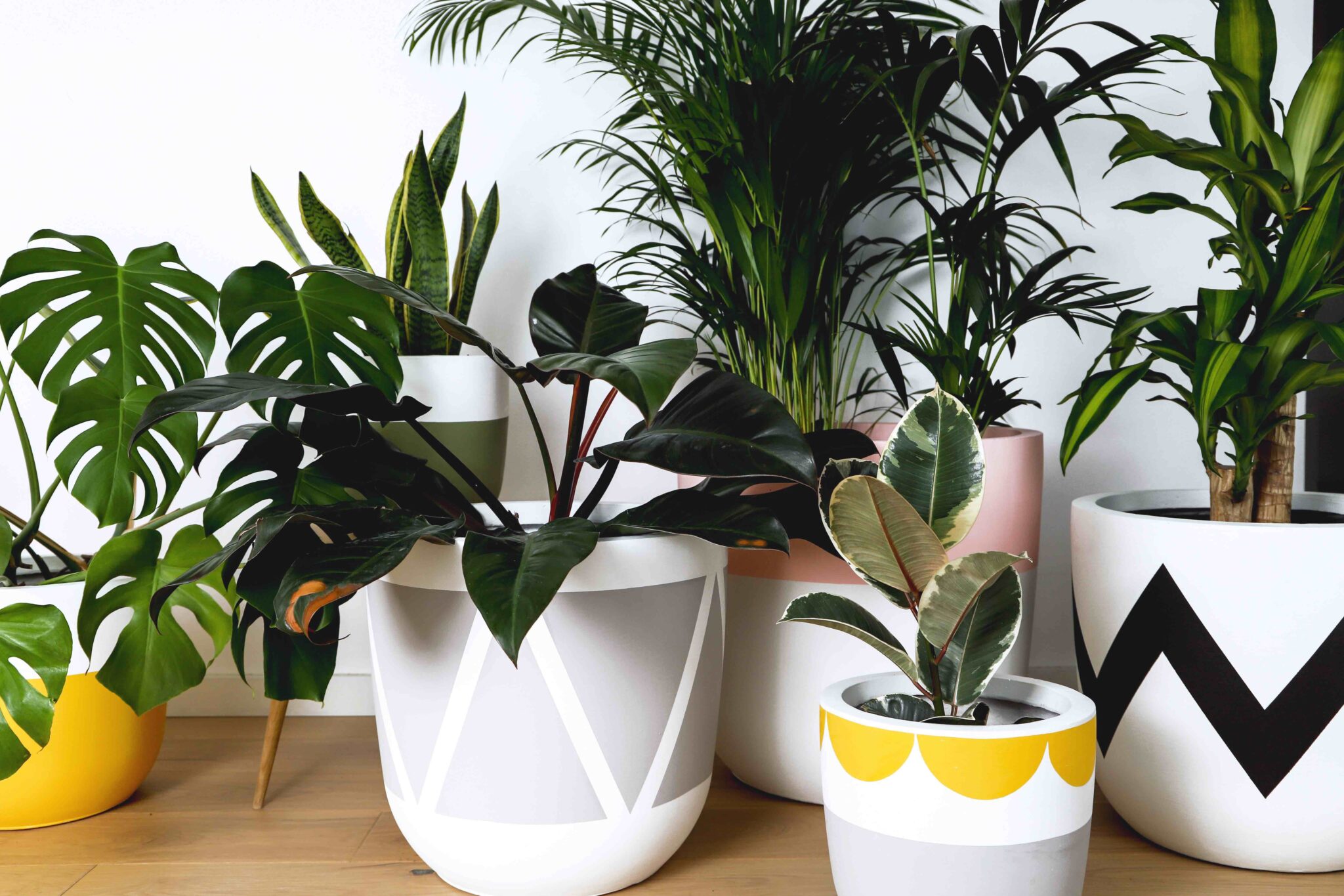 Popular brands of indoor plant pots on legs - The London Media